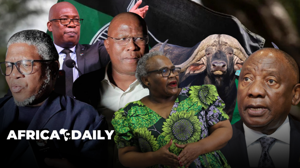ANC Braces for Stormy NEC as Tolashe Fallout, Phala Phala and Party ...